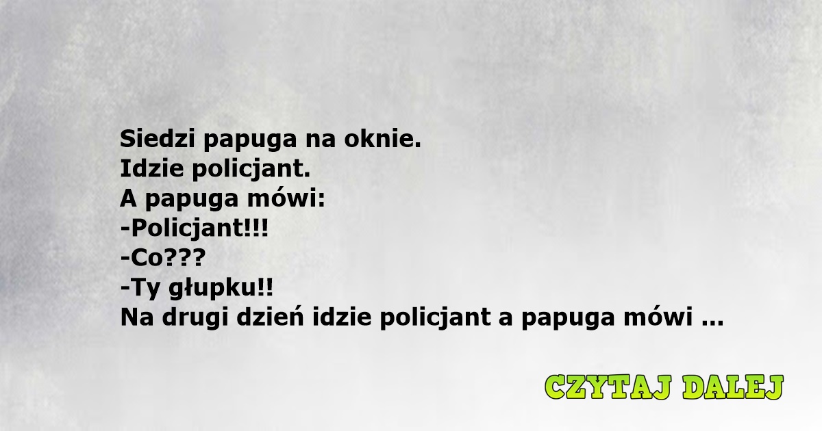 Kawał: Siedzi papuga na oknie – Czu.pl – Najlepsze informacje w sieci